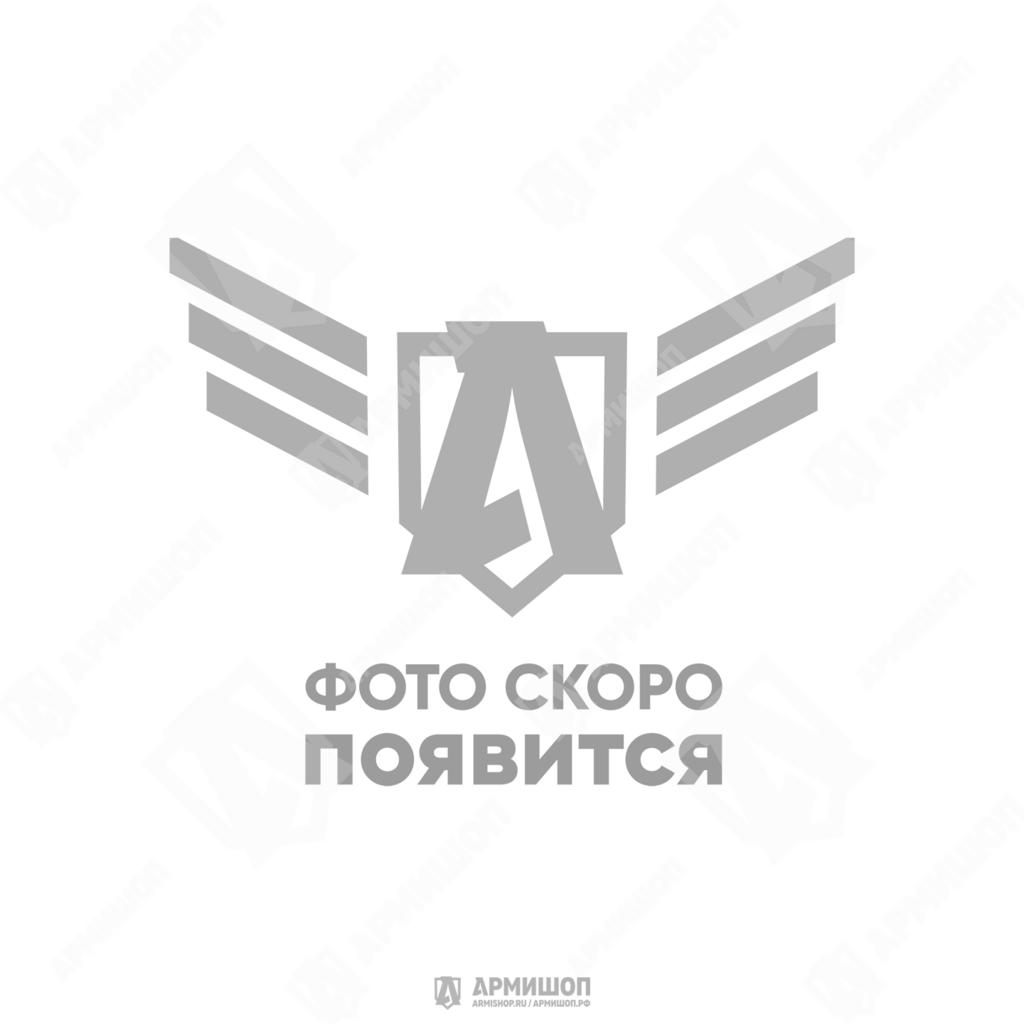 Барс