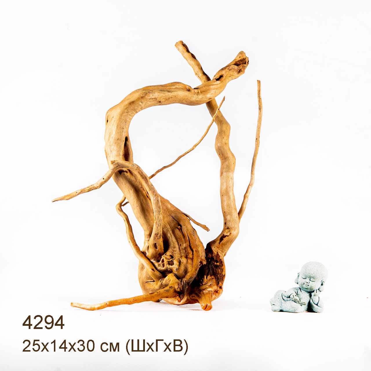 Коряги КОРЕНЬ АЗАЛИИ - L