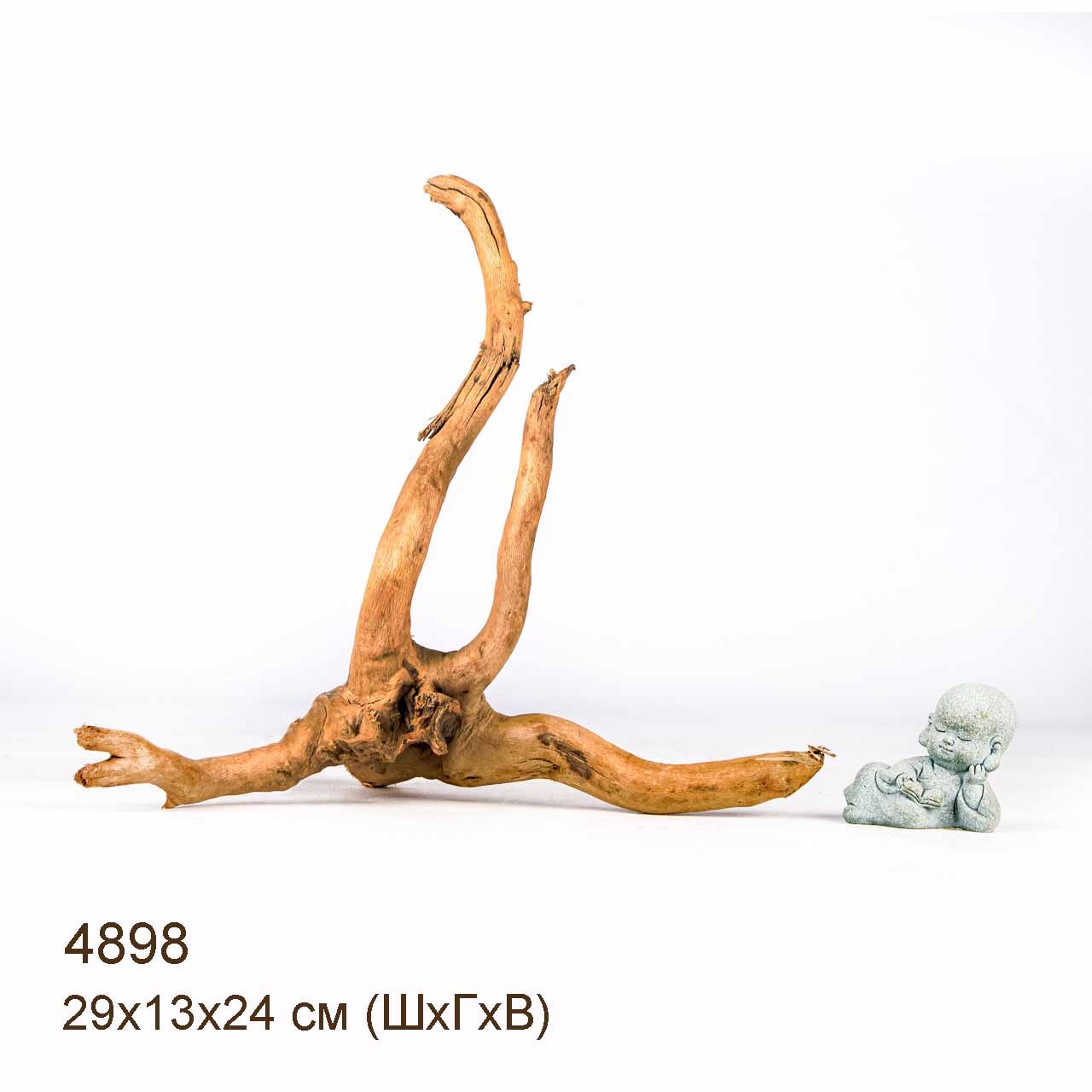 Коряги КОРЕНЬ АЗАЛИИ - S