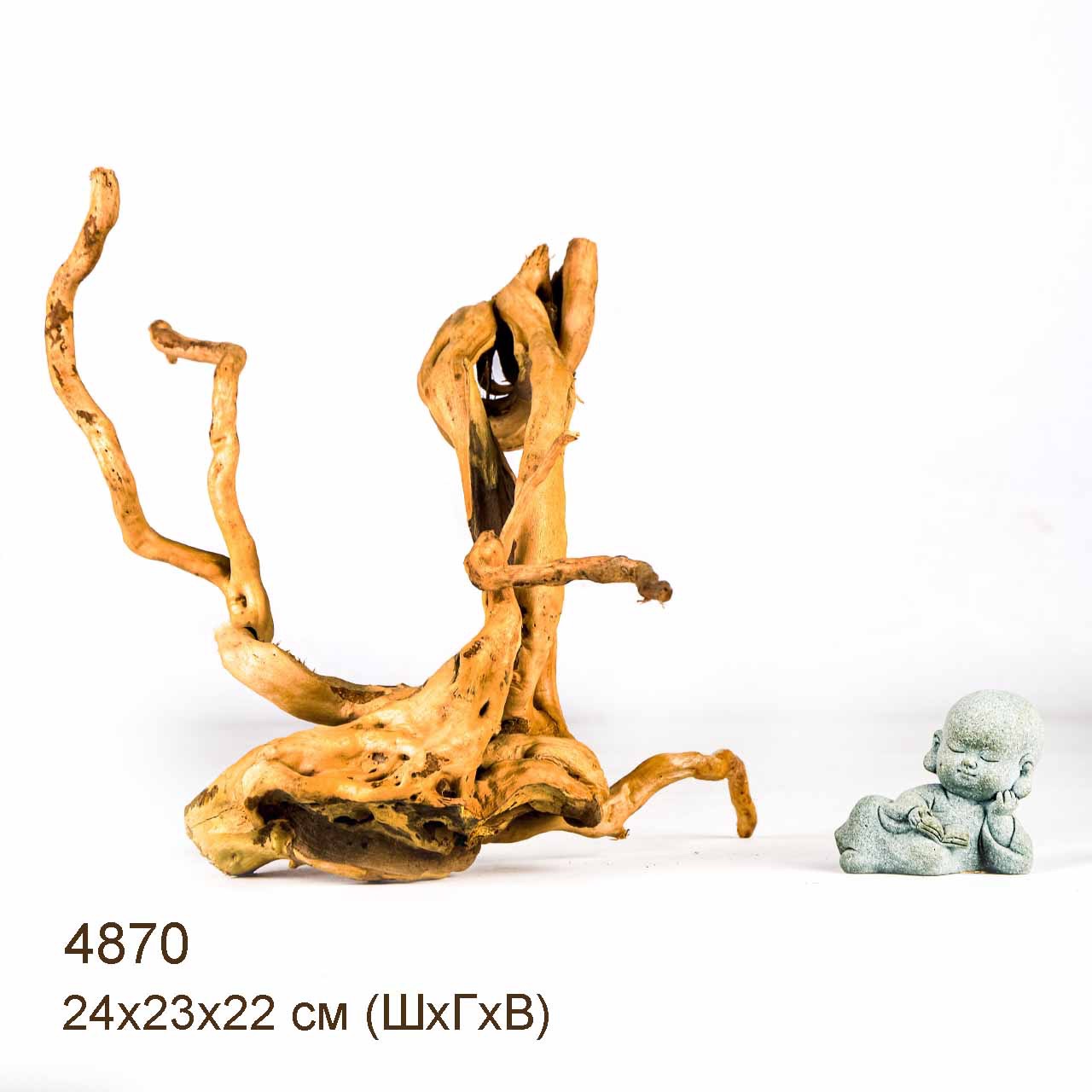 Коряги КОРЕНЬ АЗАЛИИ - S
