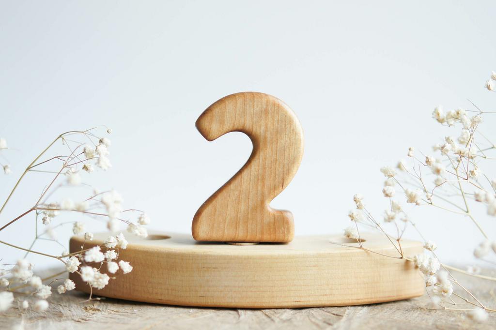 Wooden toys for kids, babies and toddlers | Tiny fox hole