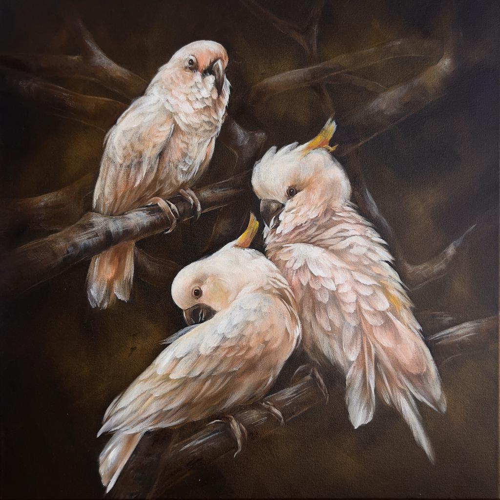 TUTORIALS > CACTUS - video tutorial Buy from e-shop