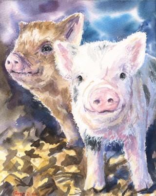 Piglets