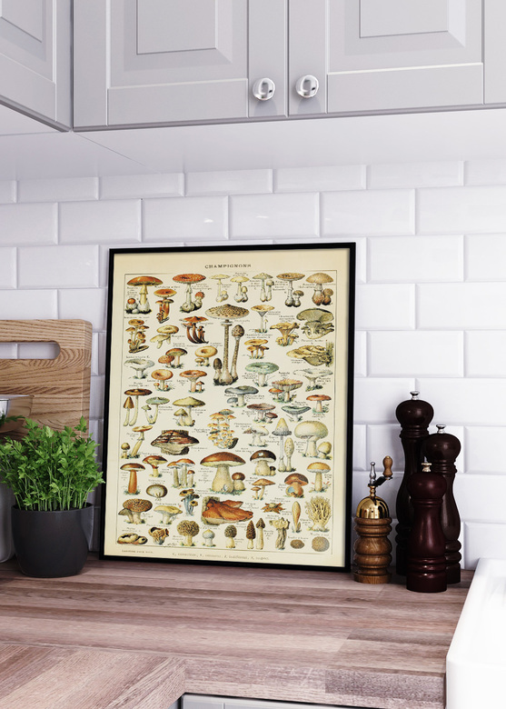 Настенные постеры для кухни. Постеры для кухни Postermarkt