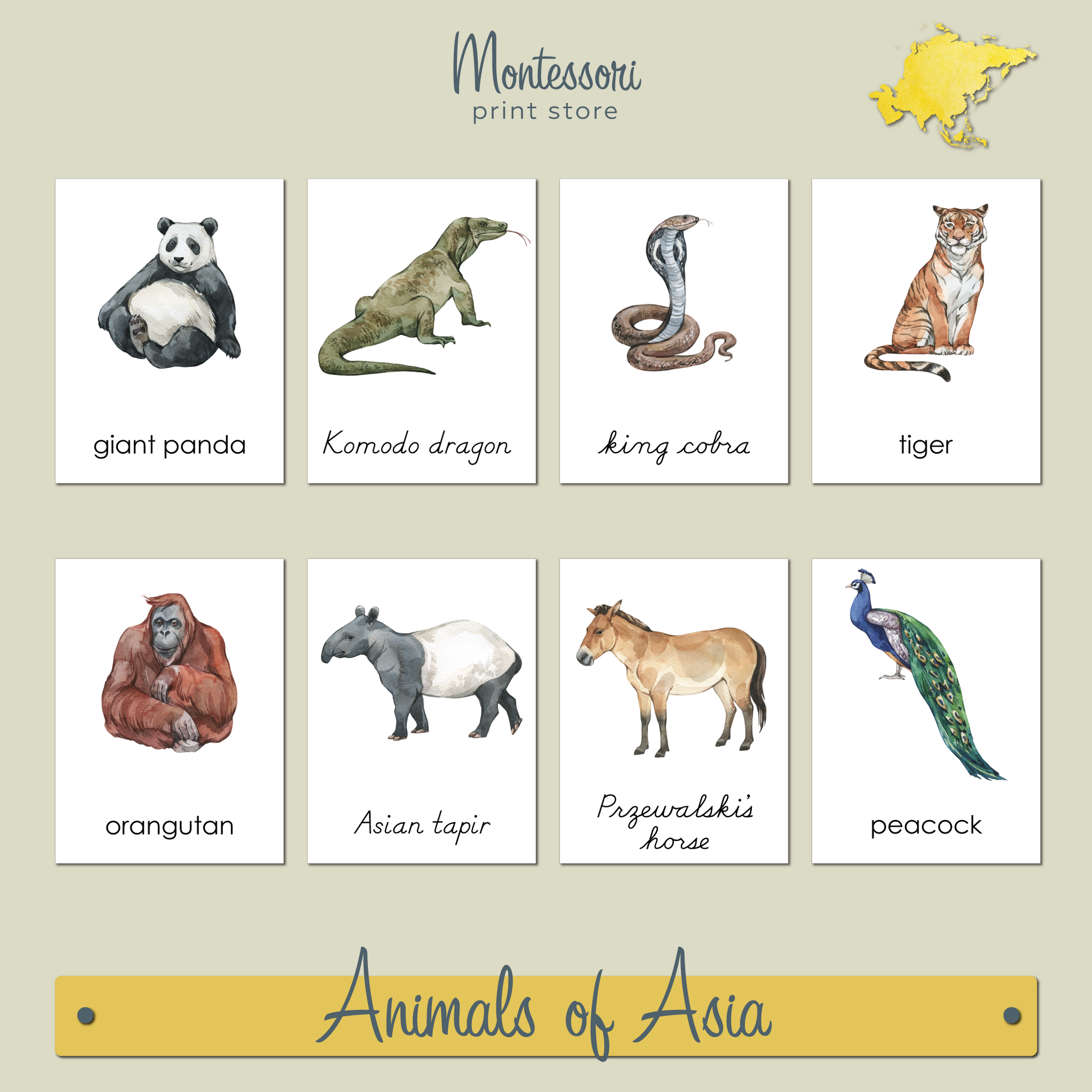 GEMSTONES 3-PART CARDS - MONTESSORI NOMENCLATURE CARDS