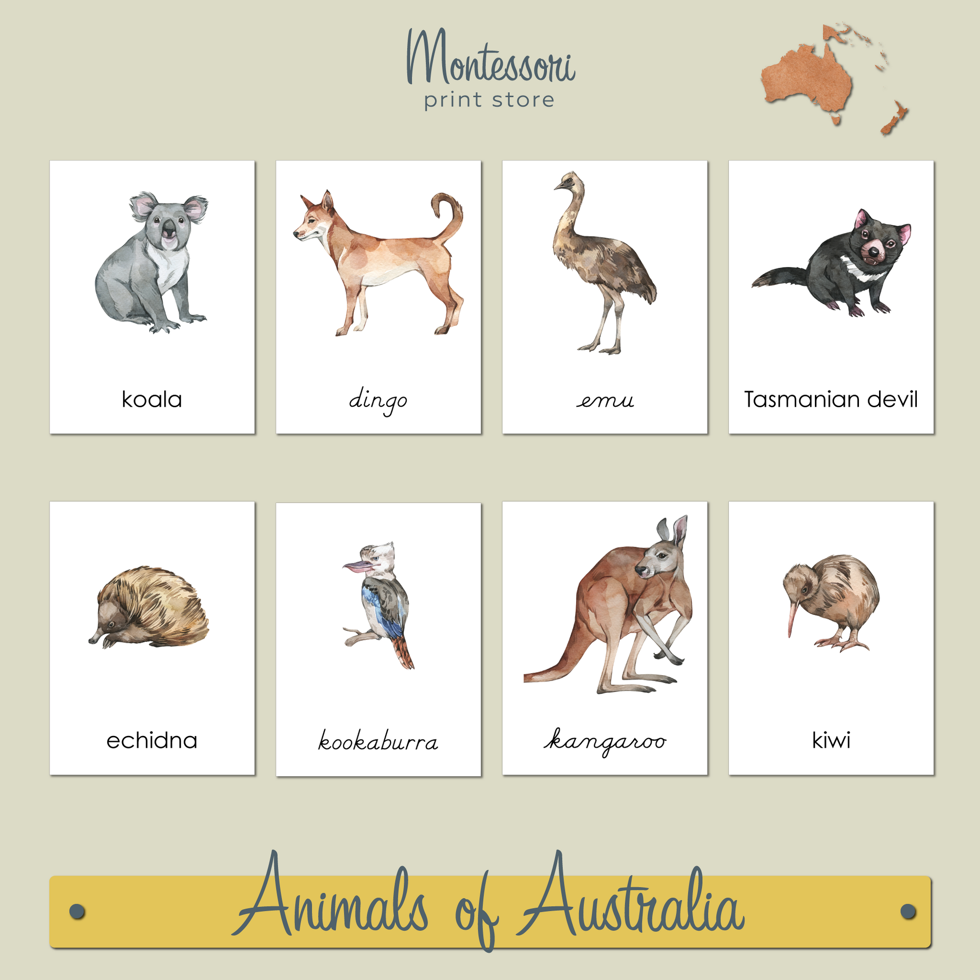 BIRDS 3-PART CARDS - MONTESSORI NOMENCLATURE CARDS BIRDS 3-PART CARDS - MONTESSORI NOMENCLATURE CARDS