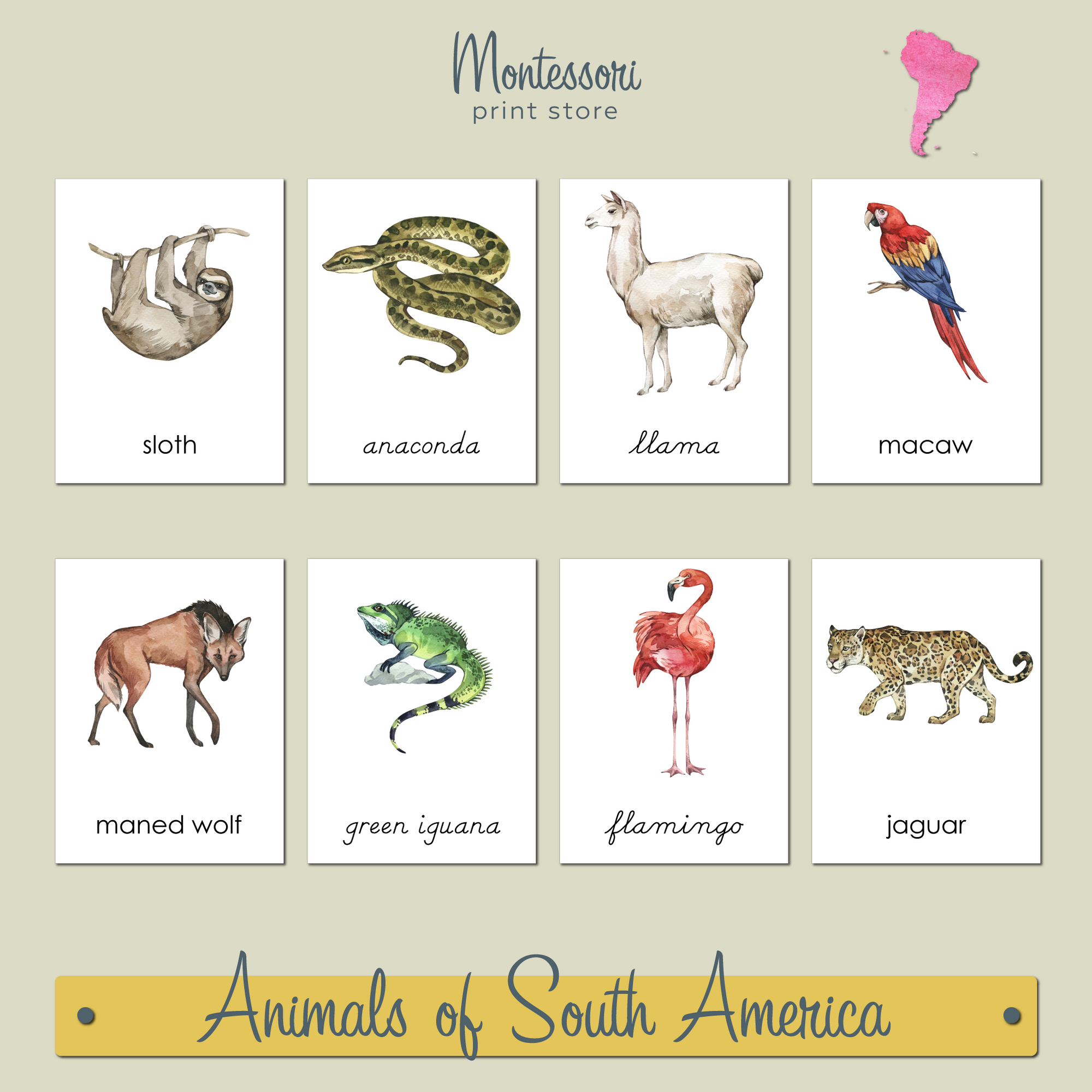 Autumn Leaves 3-Part Cards - Montessori Nomenclature Cards Autumn Leaves 3-Part Cards - Montessori Nomenclature Cards