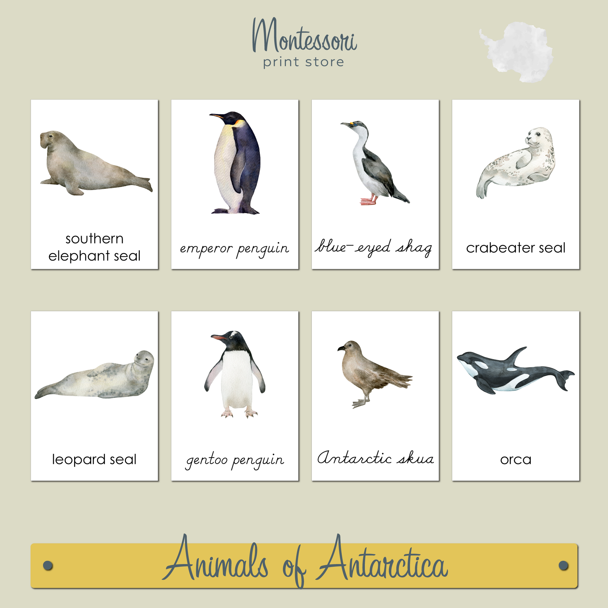ANIMALS OF EUROPE 3-PART CARDS - MONTESSORI NOMENCLATURE CARDS ANIMALS OF EUROPE 3-PART CARDS - MONTESSORI NOMENCLATURE CARDS