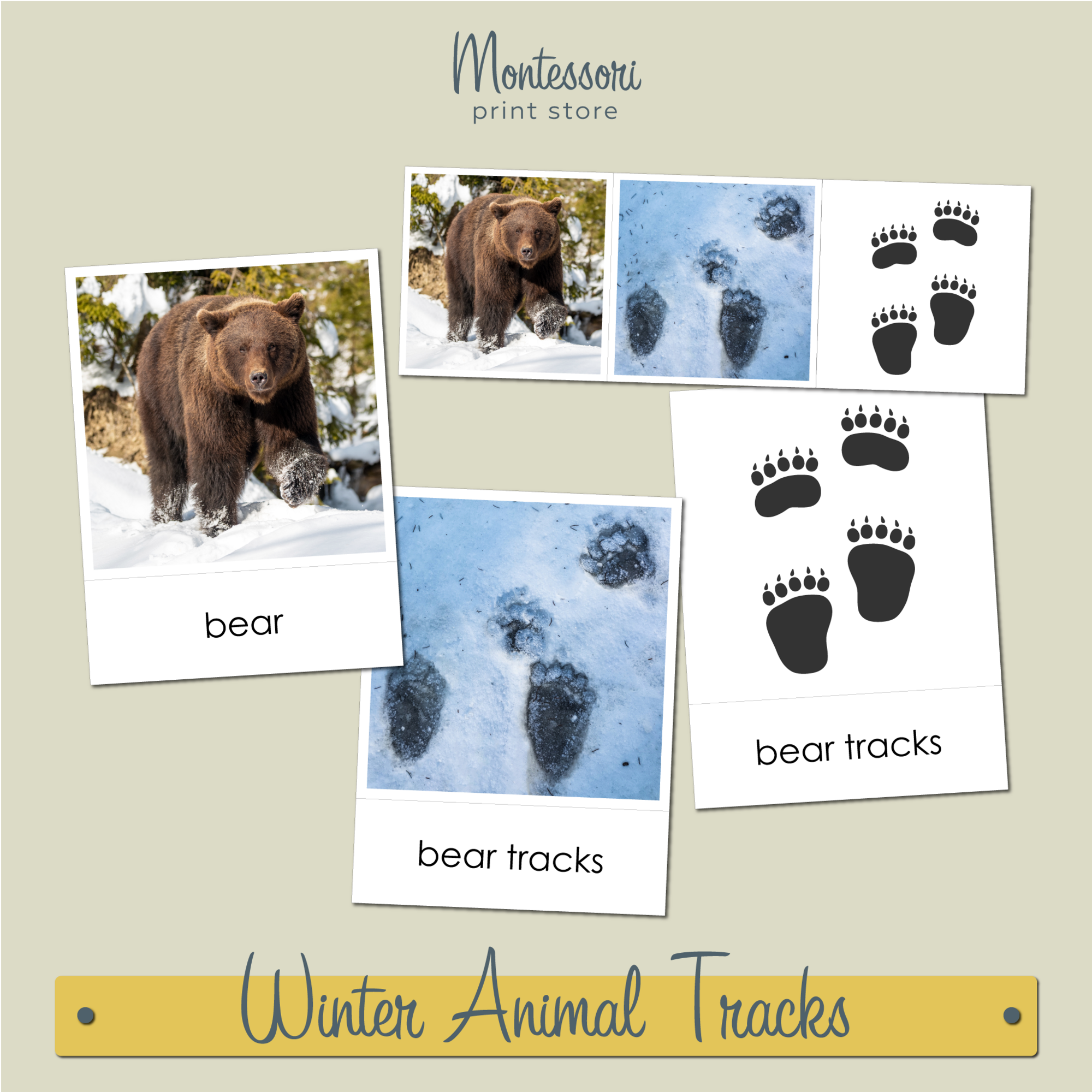 ANIMALS OF ASIA 3-PART CARDS - MONTESSORI NOMENCLATURE CARDS