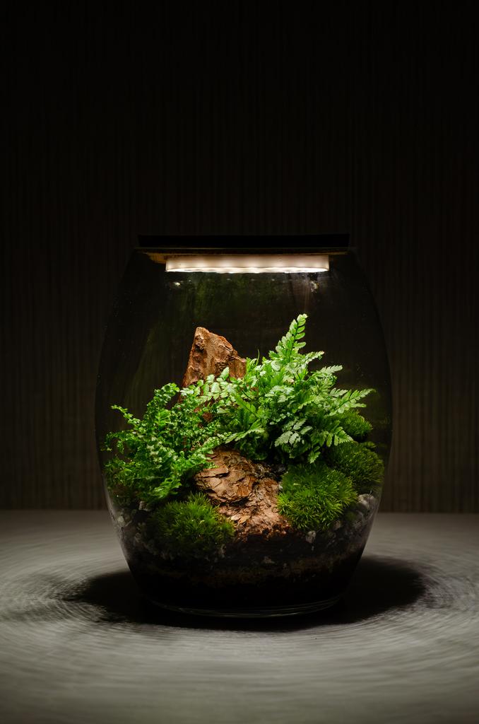 Флорариум - купить в Москве недорого | Магазин Moss-Florarium.ru