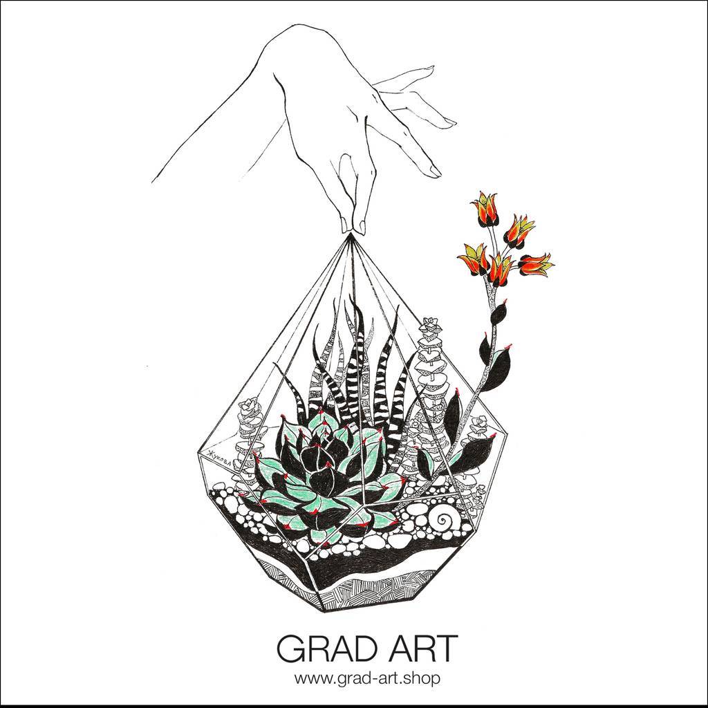 Магазин GRAD ART. Купить флорариум в Санкт-Петербурге.